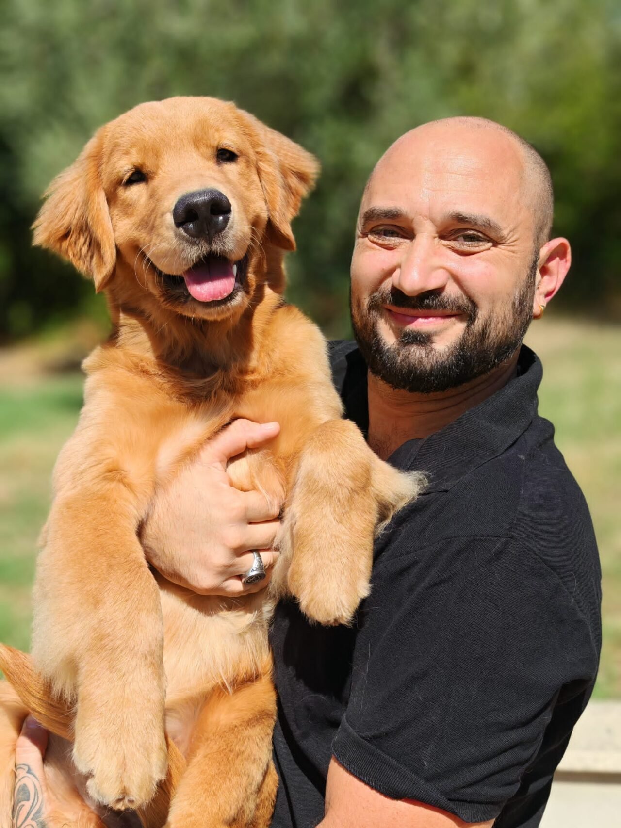 Allevamento Golden Retriever a Roma | Cuccioli Selezionati
